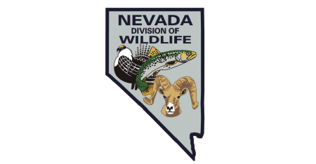 Nevada Maps