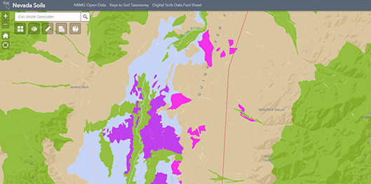 Web Applications